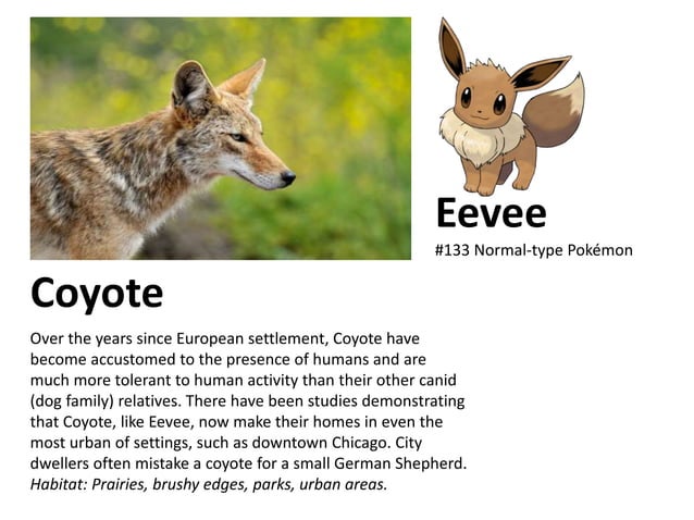 Pokemon vs Real-life Wildlife in the Metroparks | PPTX | Zoos ...