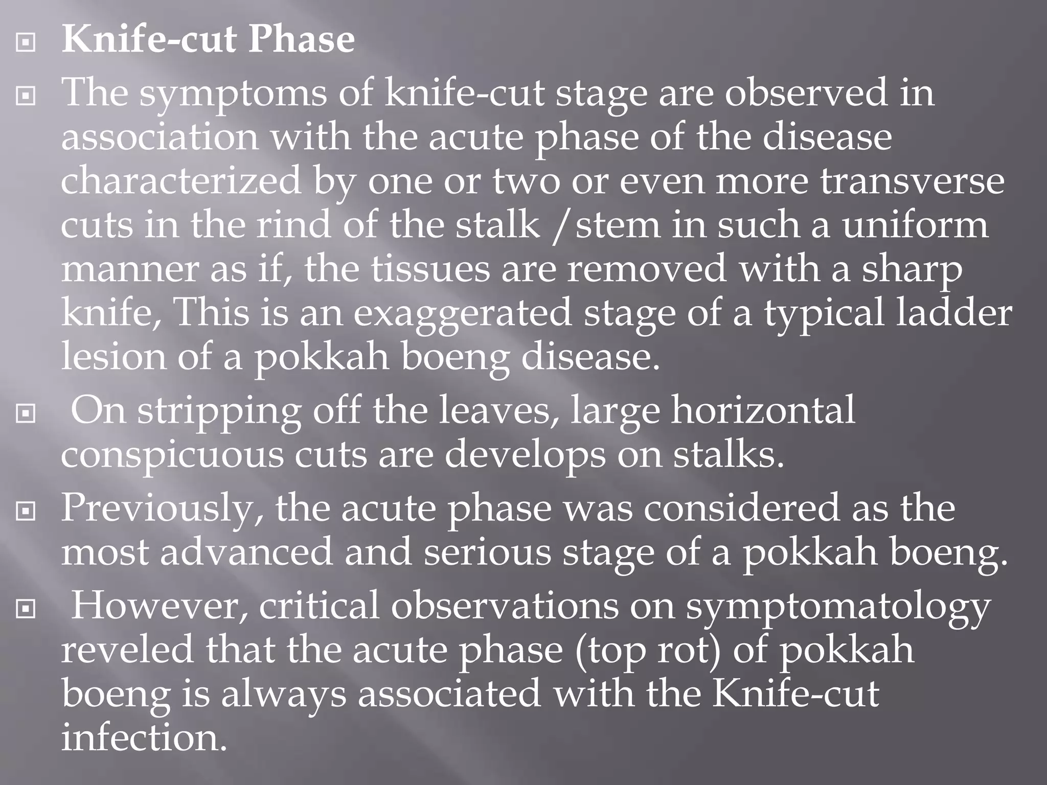 Pokkah boeng disease of wheat | PPTX