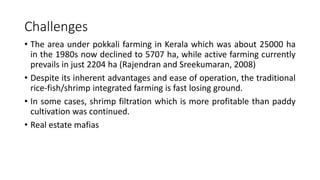 Pokkali ppt | PPTX