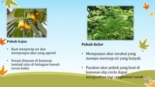 Poko berkhasiat dan mengukuhkan jalan raya (1) | PPT