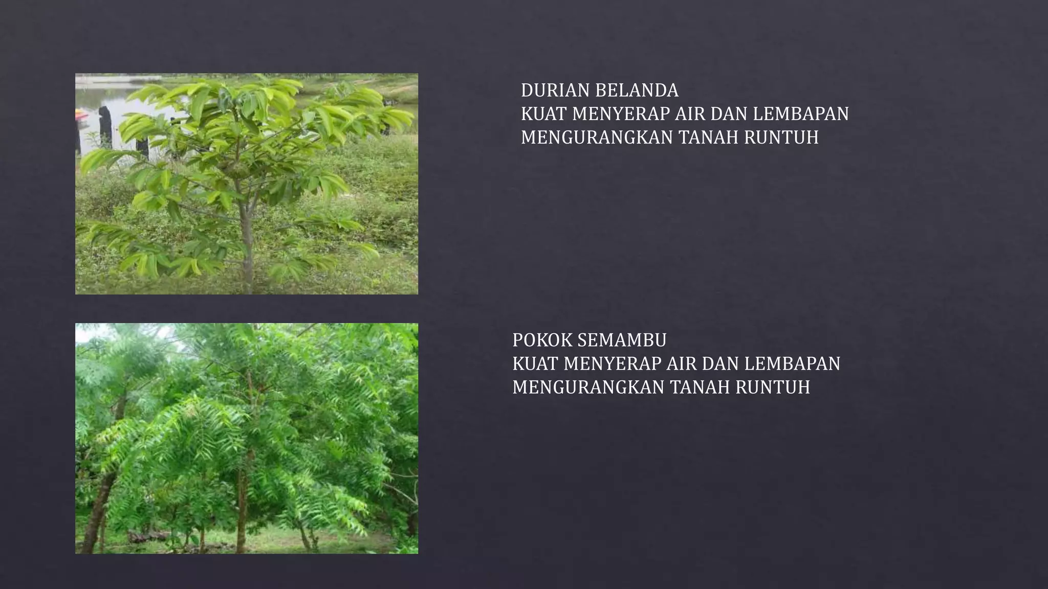 (PROJEK AKHIR) | PPTX