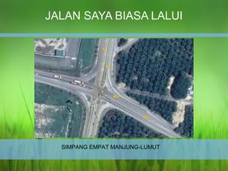 Pokok berkhasiat mengukuhkan jalan raya | PPT
