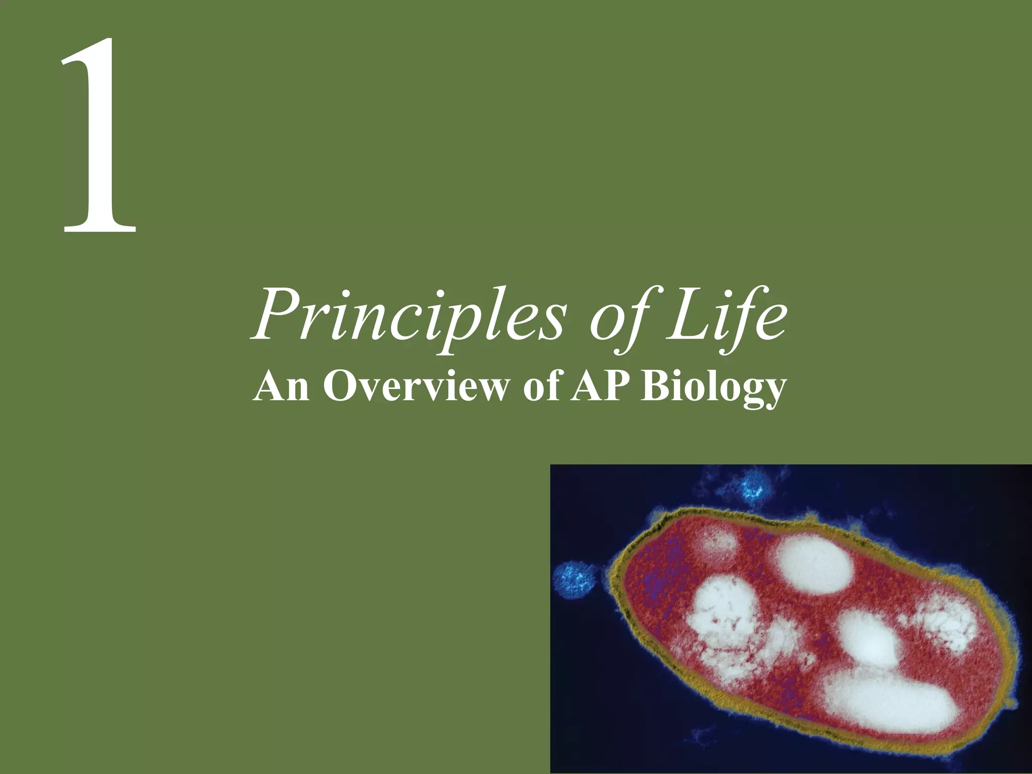 Po l2e ch01 lecture principles of life edited sphs | PPT