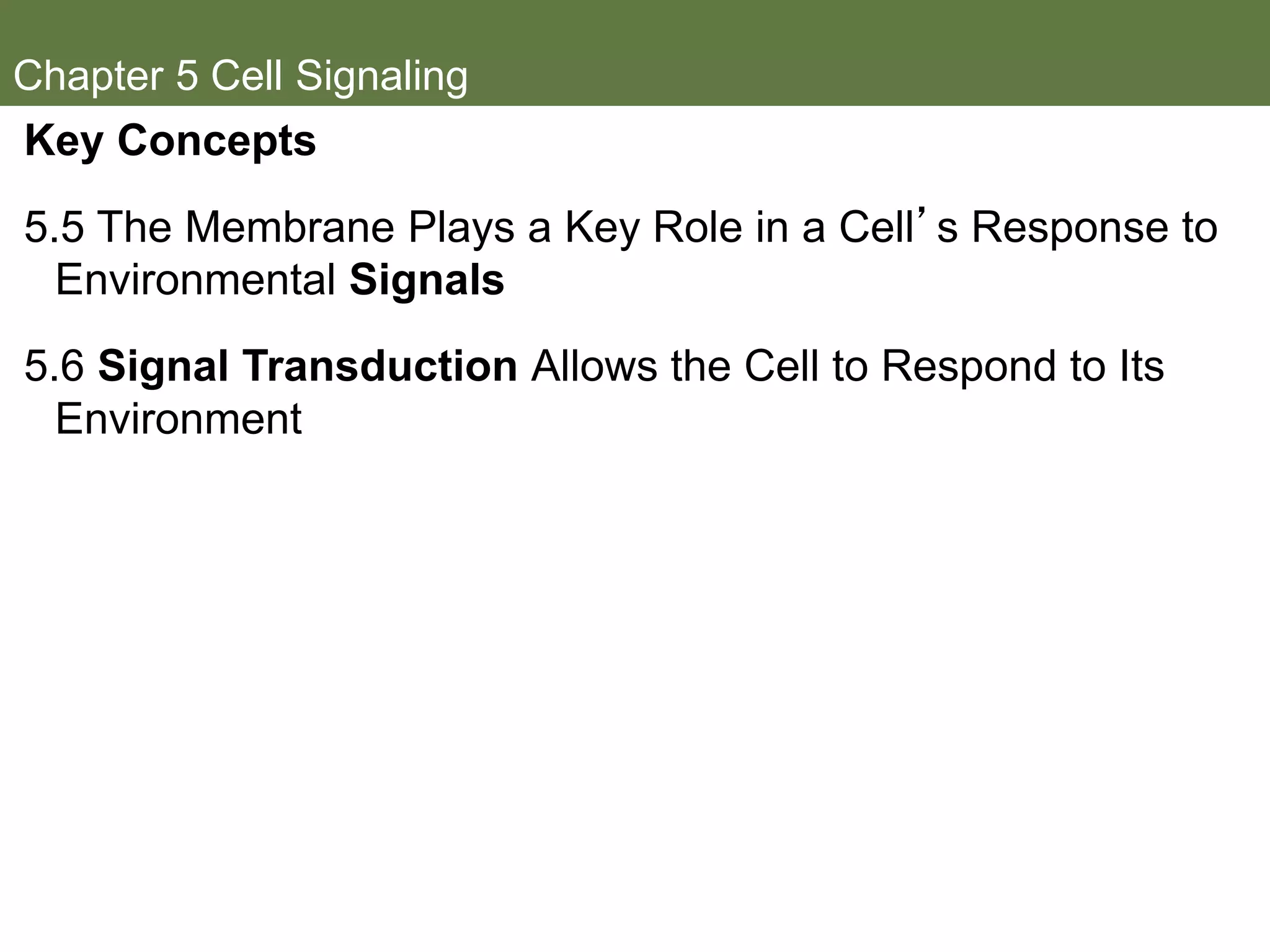 Po l2e ch05.5 5.6 lecture-cell membranes and signaling edited sphs | PPT