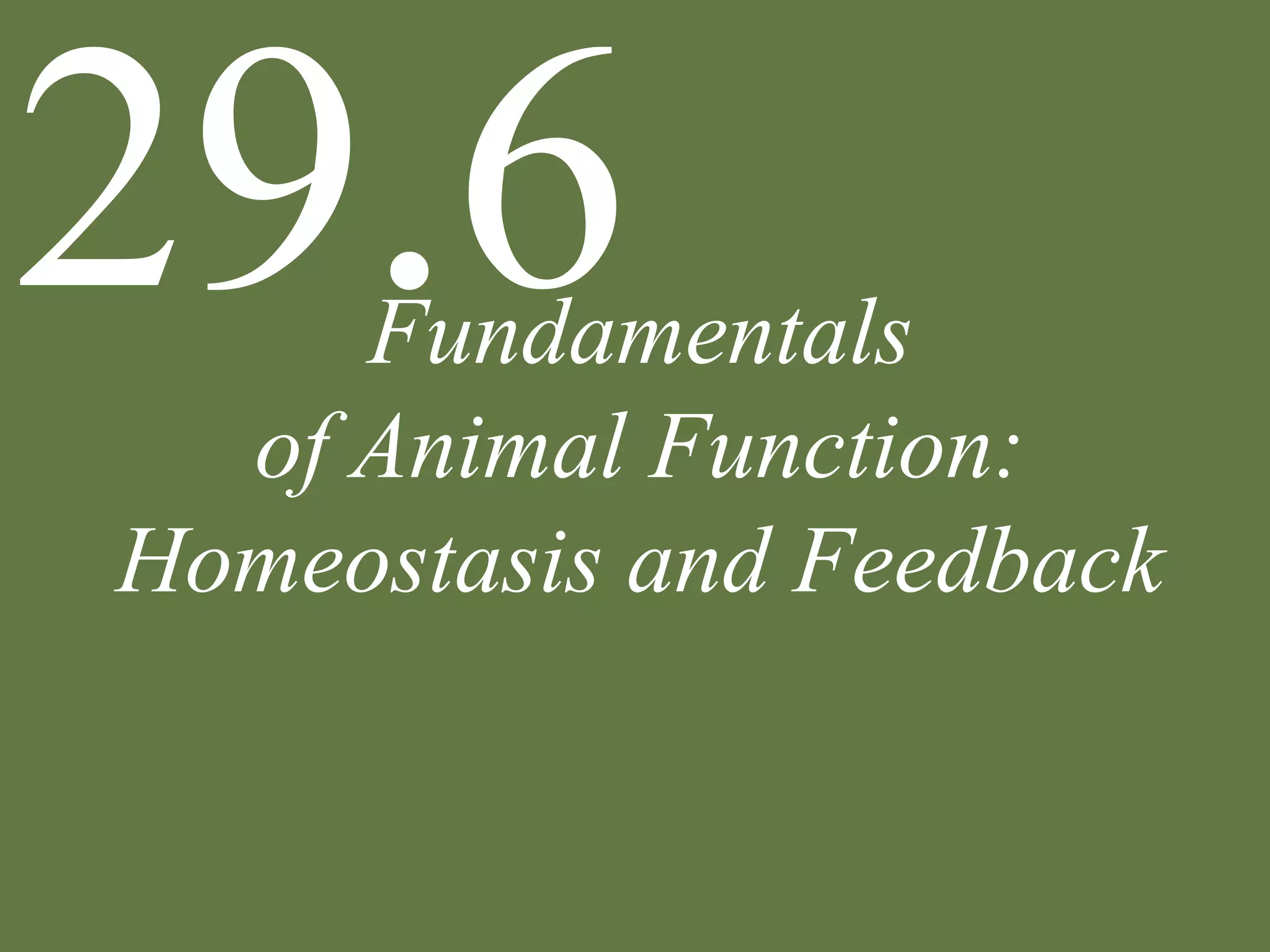 Po l2e ch29.6 lecture fundamentals of animal function homeostasis and ...