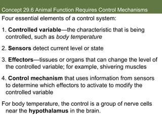 Po l2e ch29.6 lecture fundamentals of animal function homeostasis and ...