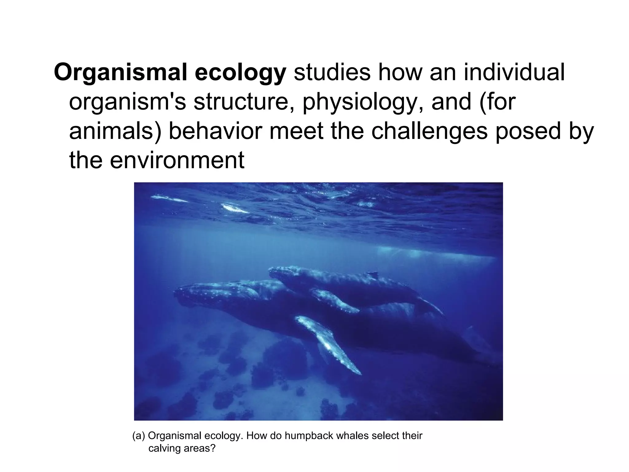 Po l2e ch41 lecture the distribution of earths ecological systems ...