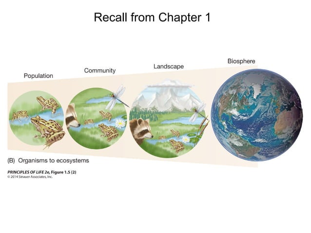 Po l2e ch41 lecture the distribution of earths ecological systems ...