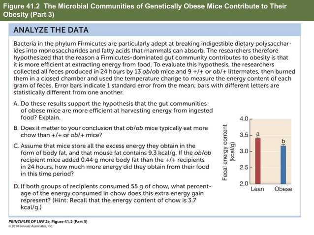 Po l2e ch41 lecture the distribution of earths ecological systems ...