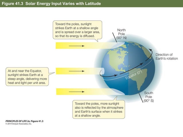 Po l2e ch41 lecture the distribution of earths ecological systems ...