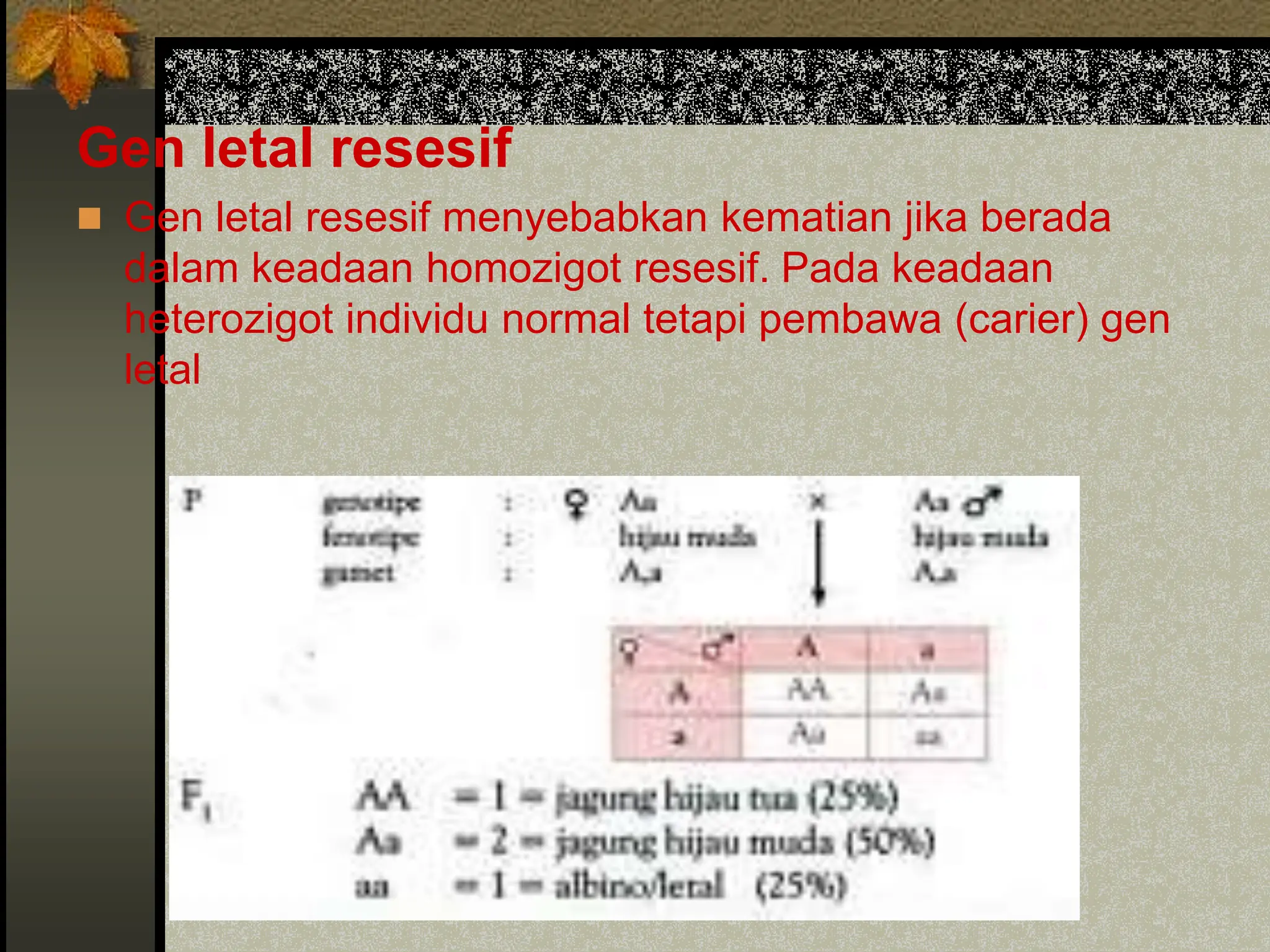 Pola-pola Hereditas.ppt