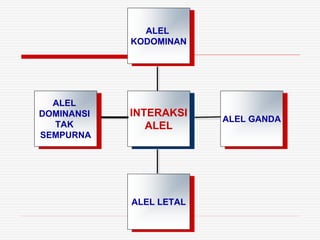 Pola-Pola Hereditas.ppt