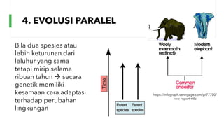 Pola evolusi_Fitri Damayanti_Universitas Indraprasta PGRI | PDF