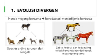 Pola evolusi_Fitri Damayanti_Universitas Indraprasta PGRI | PPT