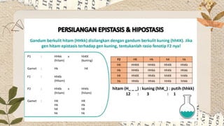 Pola Hereditas Biologi Kelas XII Slide.pptx