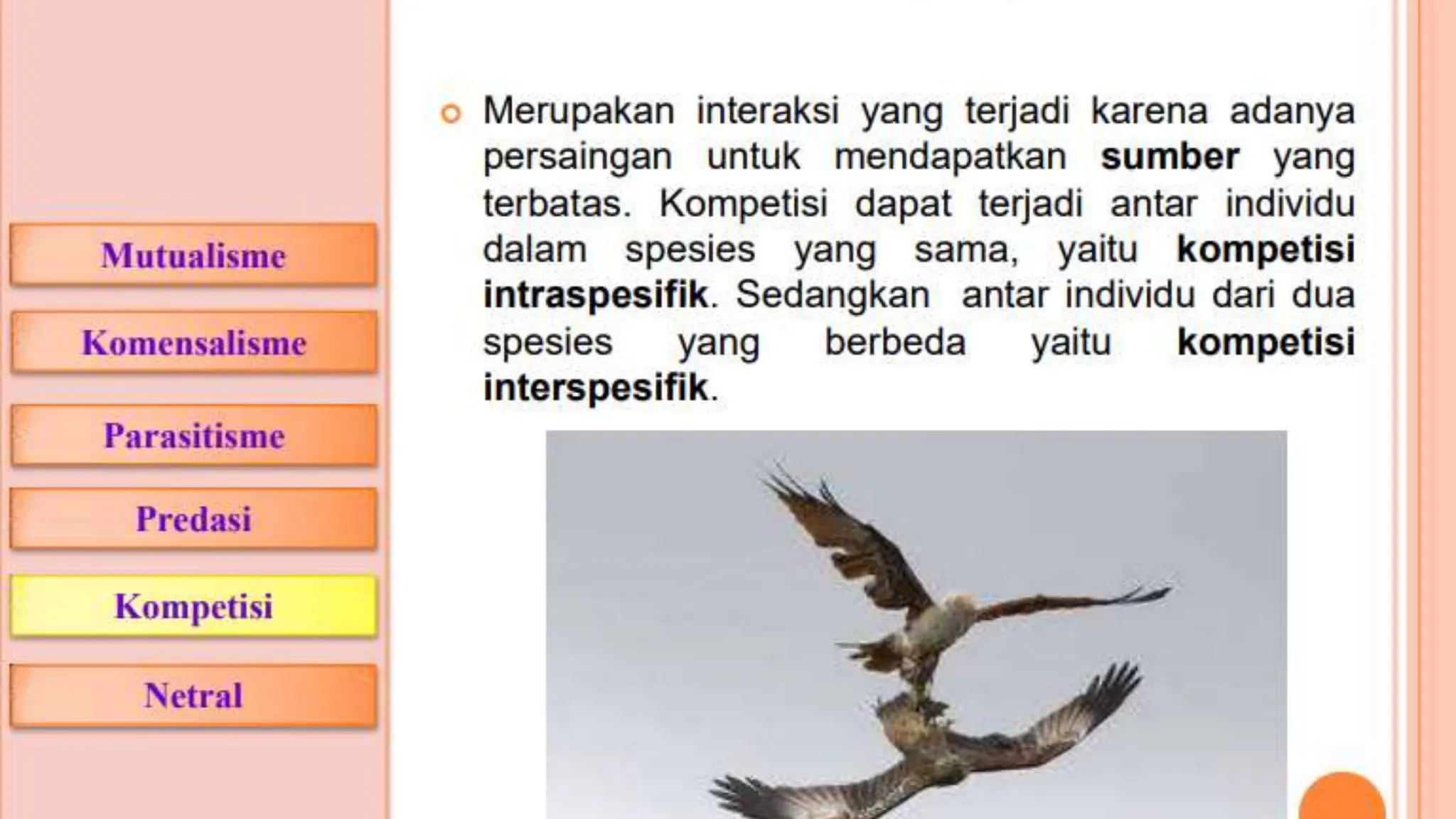 Materi tentang Pola interaksi makhluk hidup.pptx