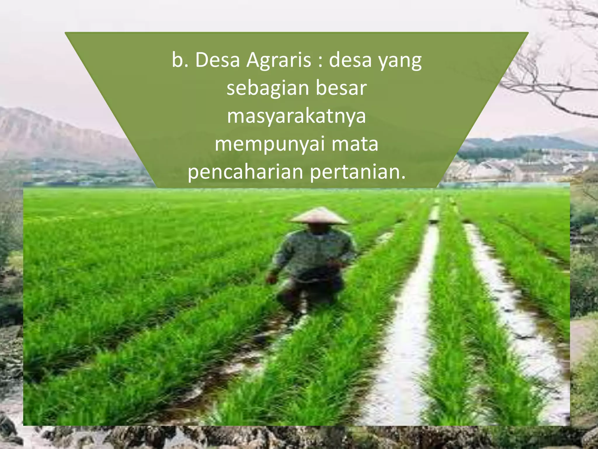 Pola keruangan desa | PPTX