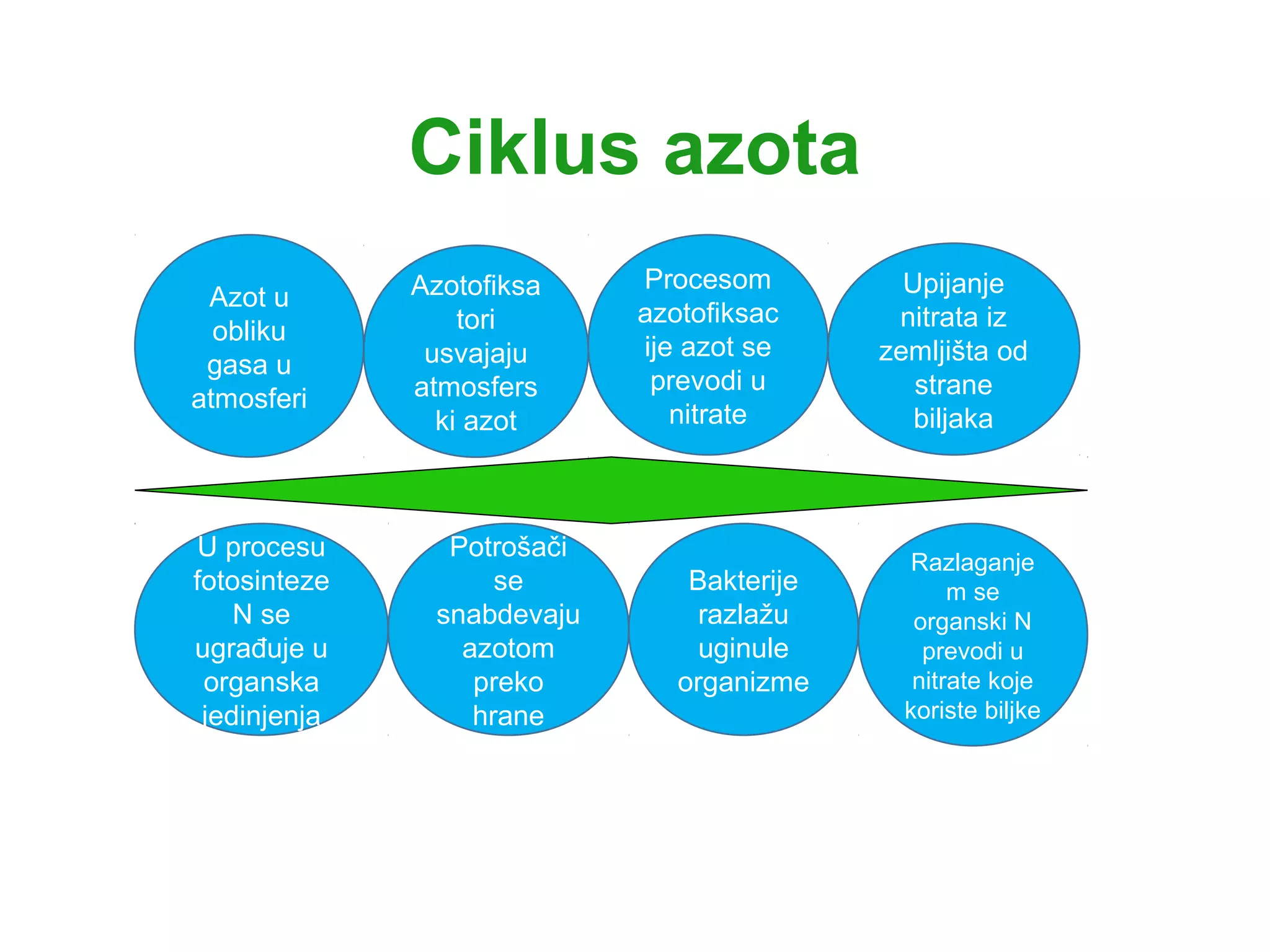 Prenos energije i kruženje materije u ekosistemu | PPT