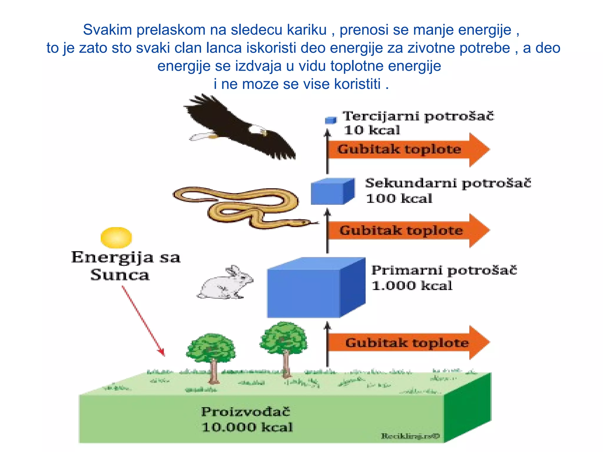 Prenos energije i kruženje materije u ekosistemu | PPT