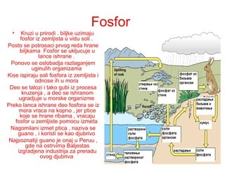 Prenos energije i kruženje materije u ekosistemu | PPT