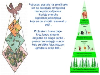 Prenos energije i kruženje materije u ekosistemu | PPT