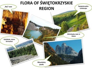 Poland fauna i flora,nanana | PPTX