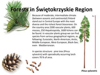 Poland fauna i flora,nanana | PPTX