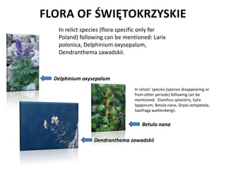 Poland fauna i flora,nanana | PPTX