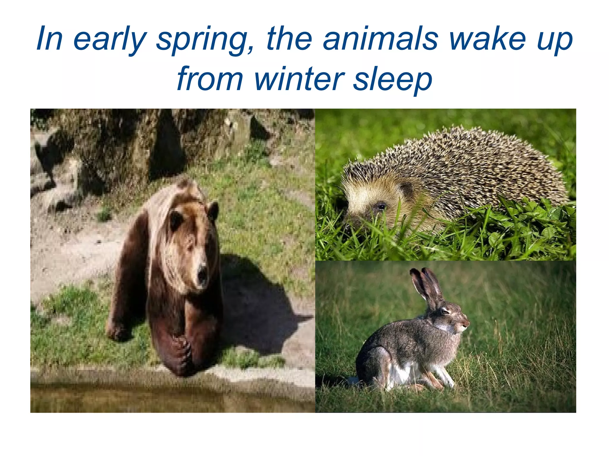 Poland in spring by mirella | PPT