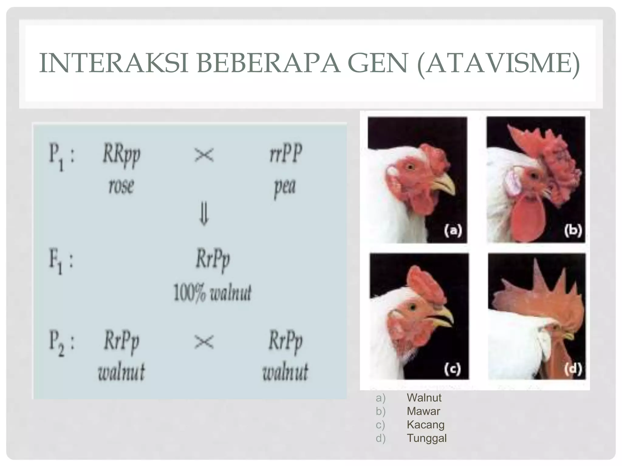 POLA PEWARISAN SIFAT HUKUM MENDEL | PPTX