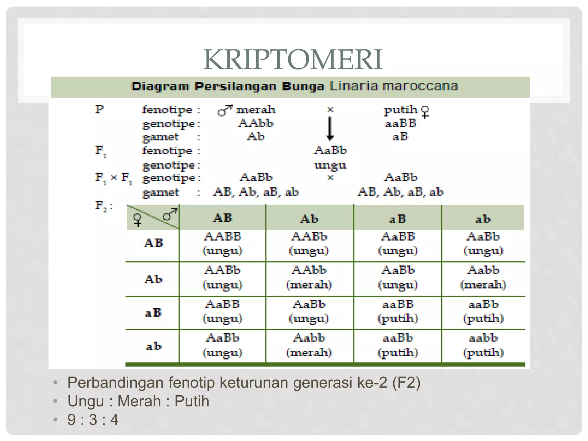 POLA PEWARISAN SIFAT HUKUM MENDEL | PPTX