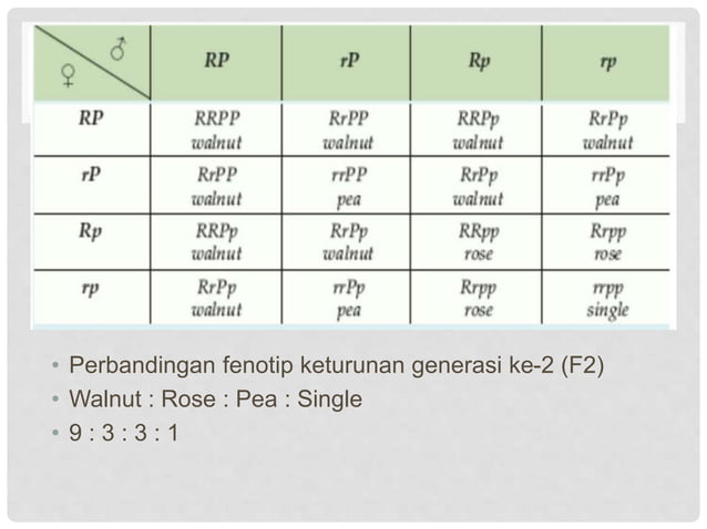 POLA PEWARISAN SIFAT HUKUM MENDEL | PPTX