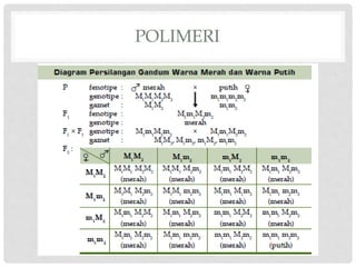 POLA PEWARISAN SIFAT HUKUM MENDEL | PPTX