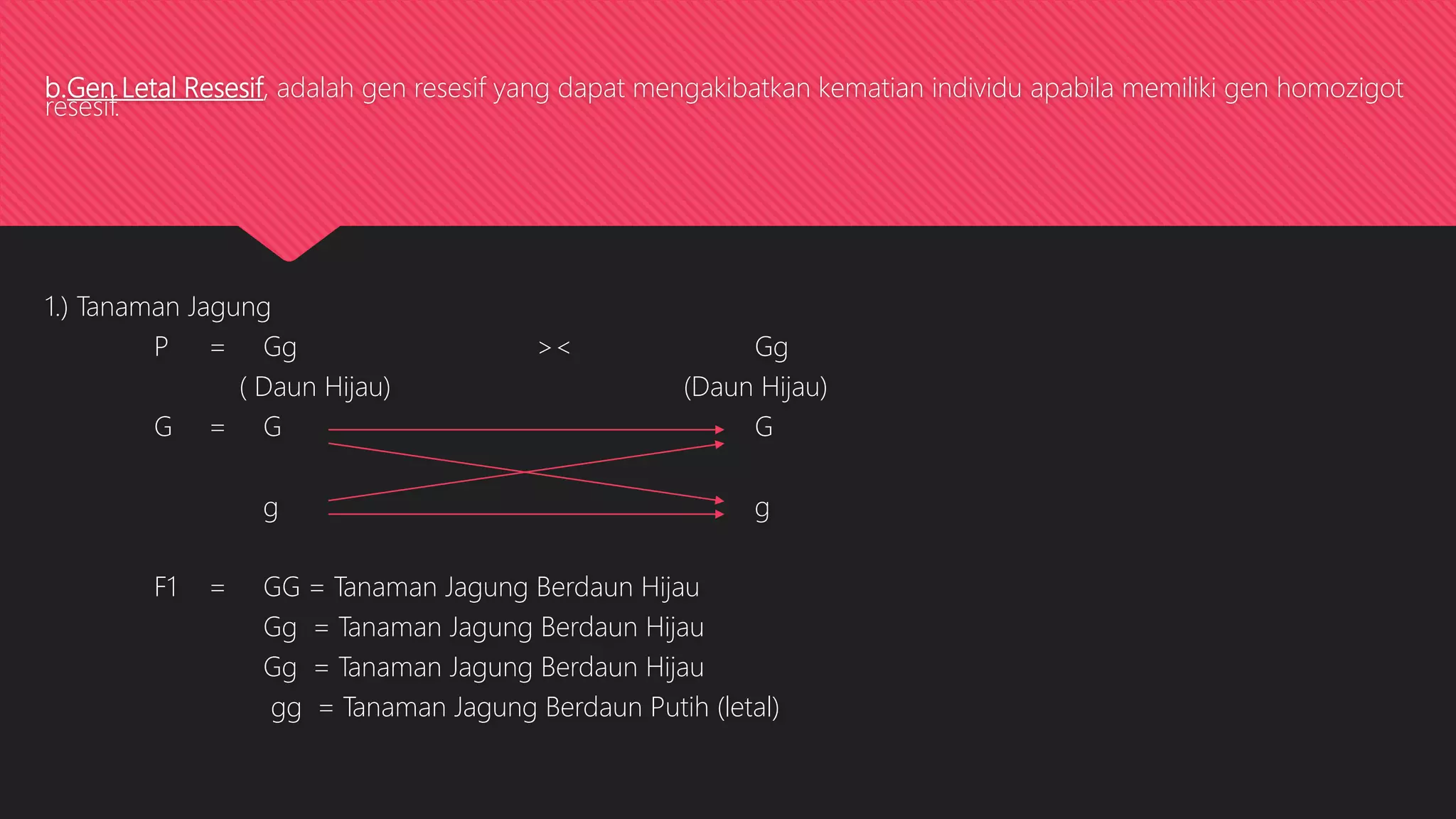 Pola pola hereditas pautan | PPTX