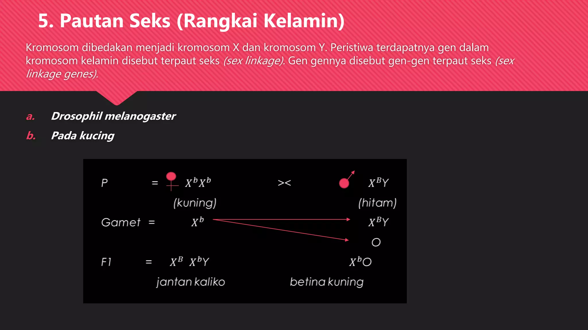 Pola pola hereditas pautan | PPTX
