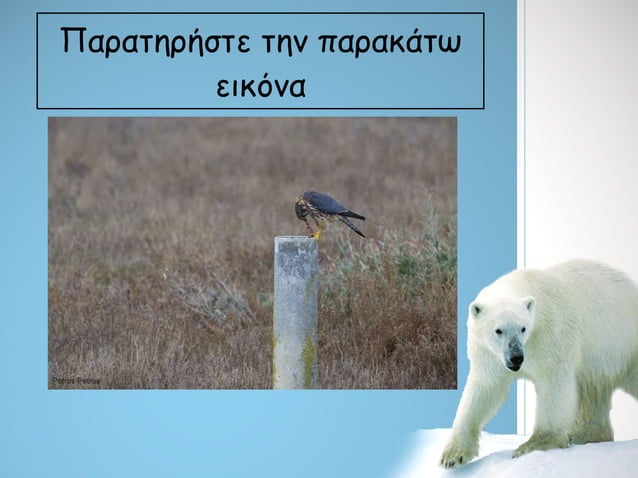 ΧΑΡΑΚΤΗΡΙΣΤΙΚΑ ΖΩΝΤΑΝΏΝ ΟΡΓΑΝΙΣΜΩΝ | PPT