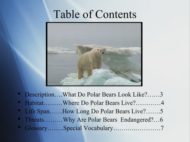 Polar bear | PPT