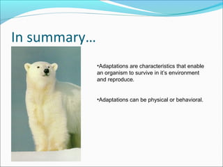 Polar bear adaptations | PPT