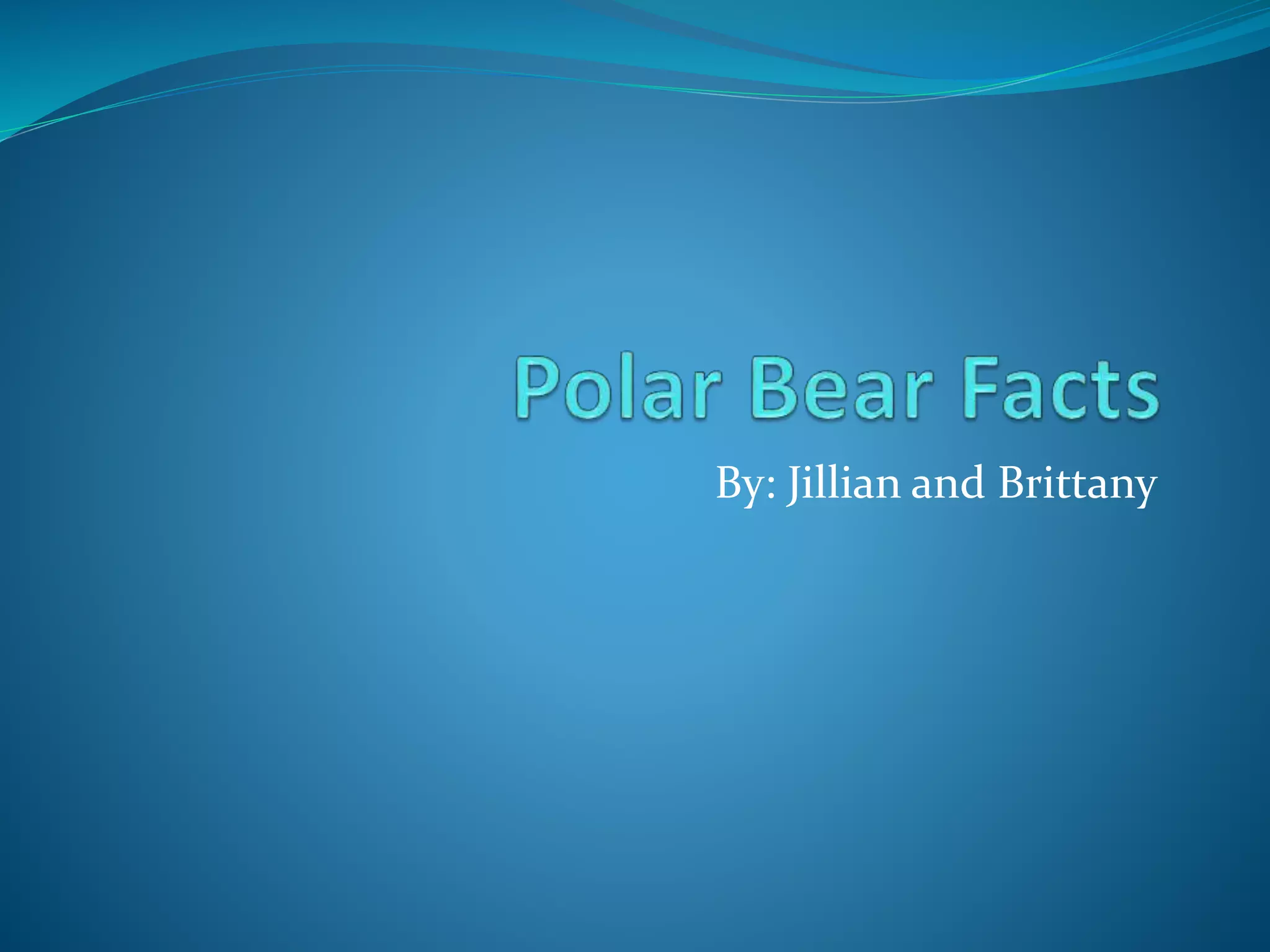 Polar bear facts intel | PPTX