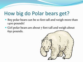 Polar bear facts intel | PPTX