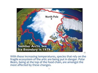 Polar Bear Math Modeling Presentation | PPT