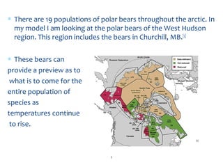 Polar Bear Math Modeling Presentation | PPT