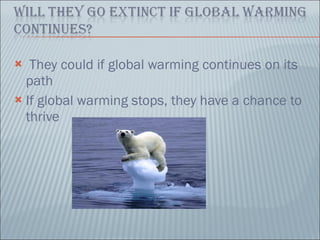 Polar Bear Powerpoint | PPT