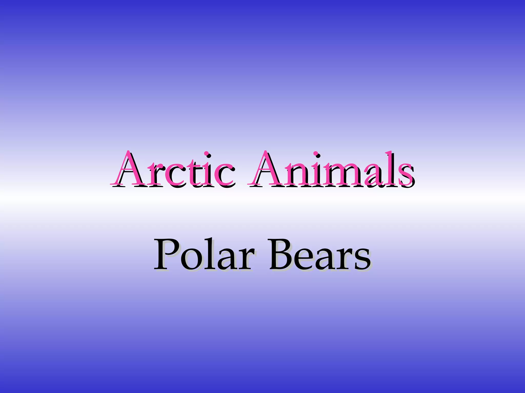 Polar bear ppt | PPT