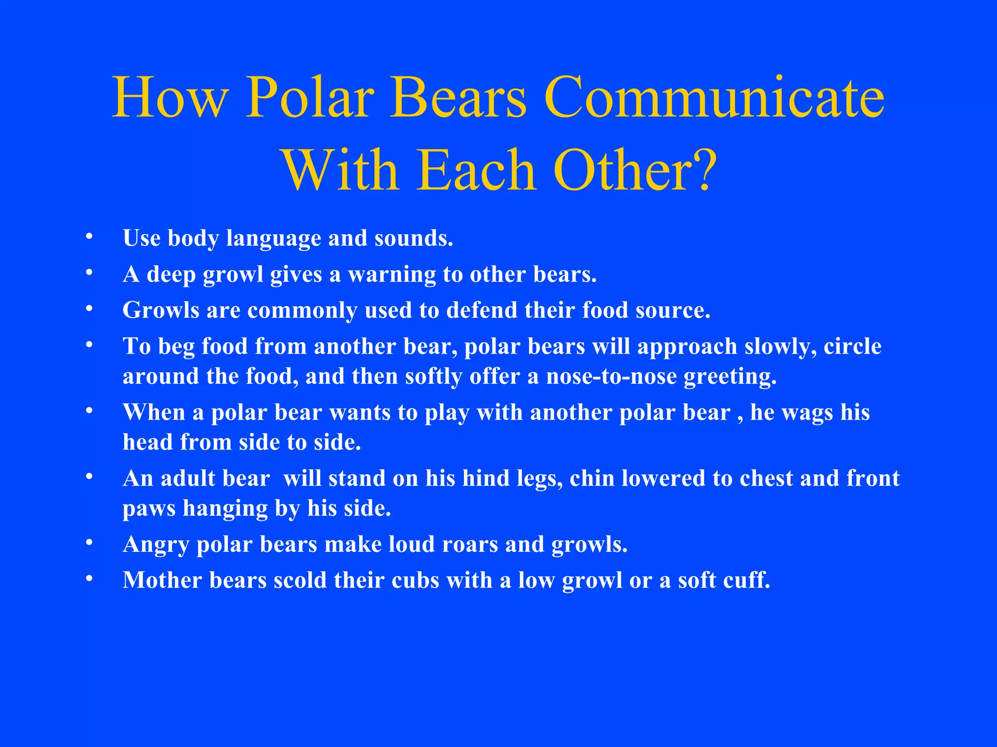 Polar bear ppt | PPT