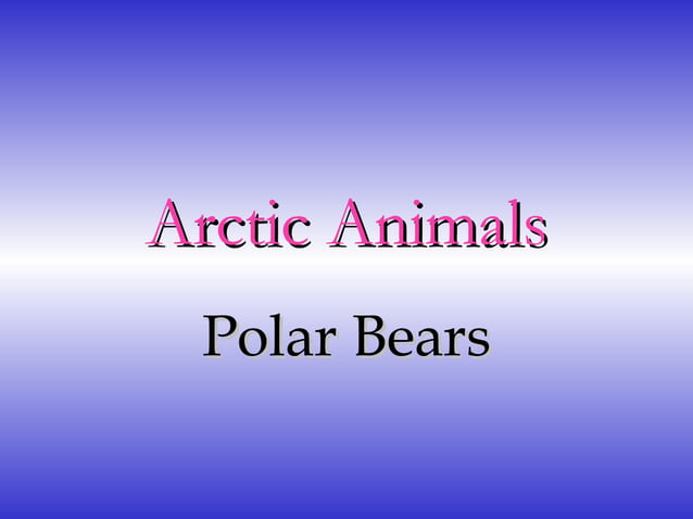 Polar bear ppt | PPT | Polar Travel | Travel Locations
