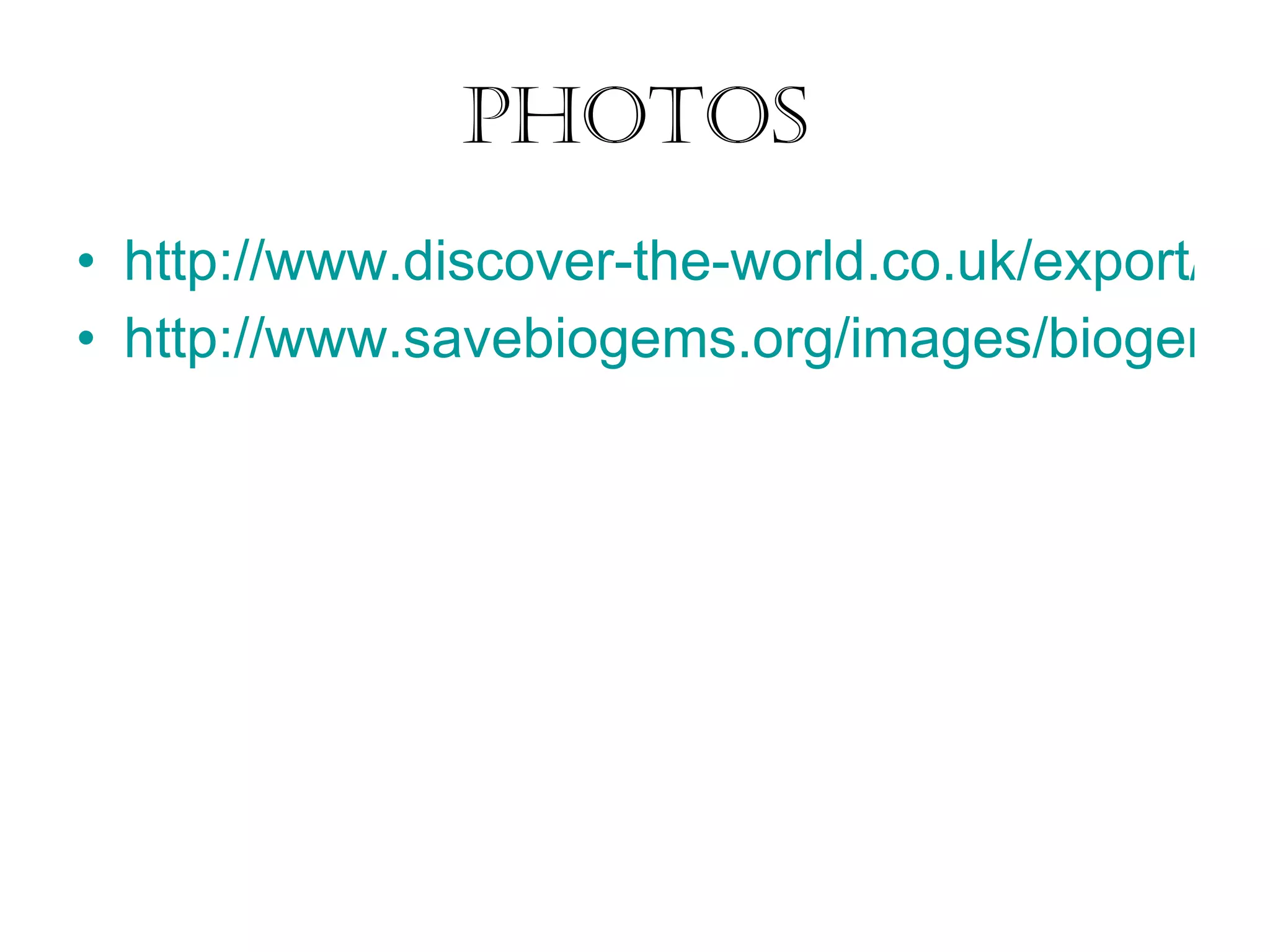Polar bear project | PPT