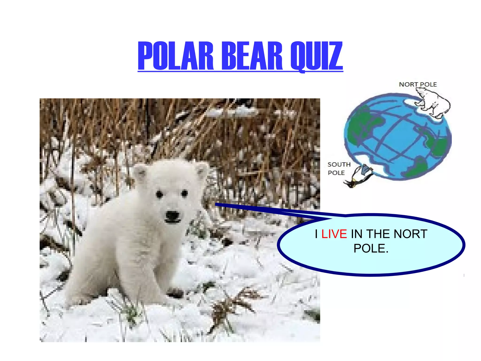 Polar bear quiz pablo suárez 4º a nov 2015 | PPT