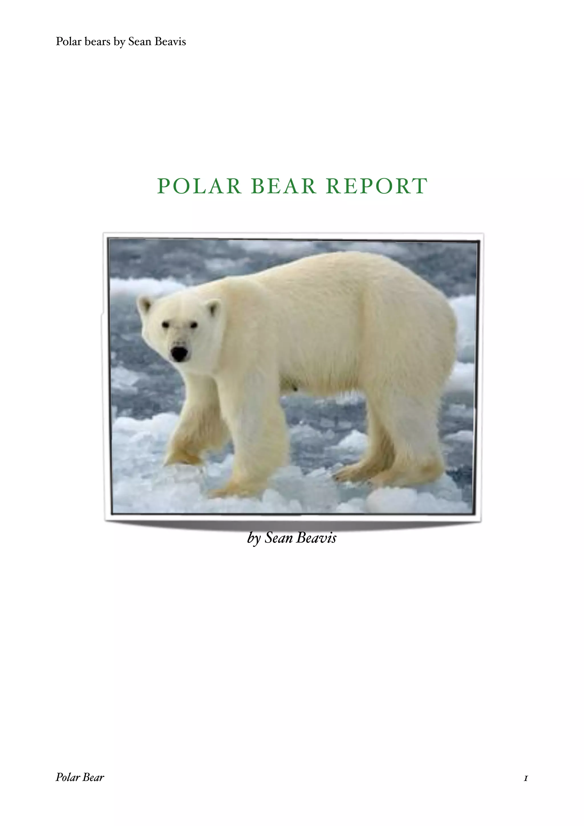 Polar bear report - Sean | PDF | Polar Travel | Travel Locations
