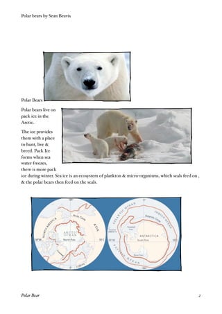 Polar bear report - Sean | PDF | Polar Travel | Travel Locations